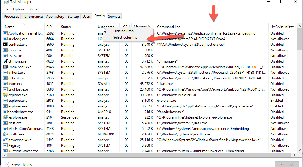 Malware Cloaking: the Growing Threat of Manipulated Command Lines